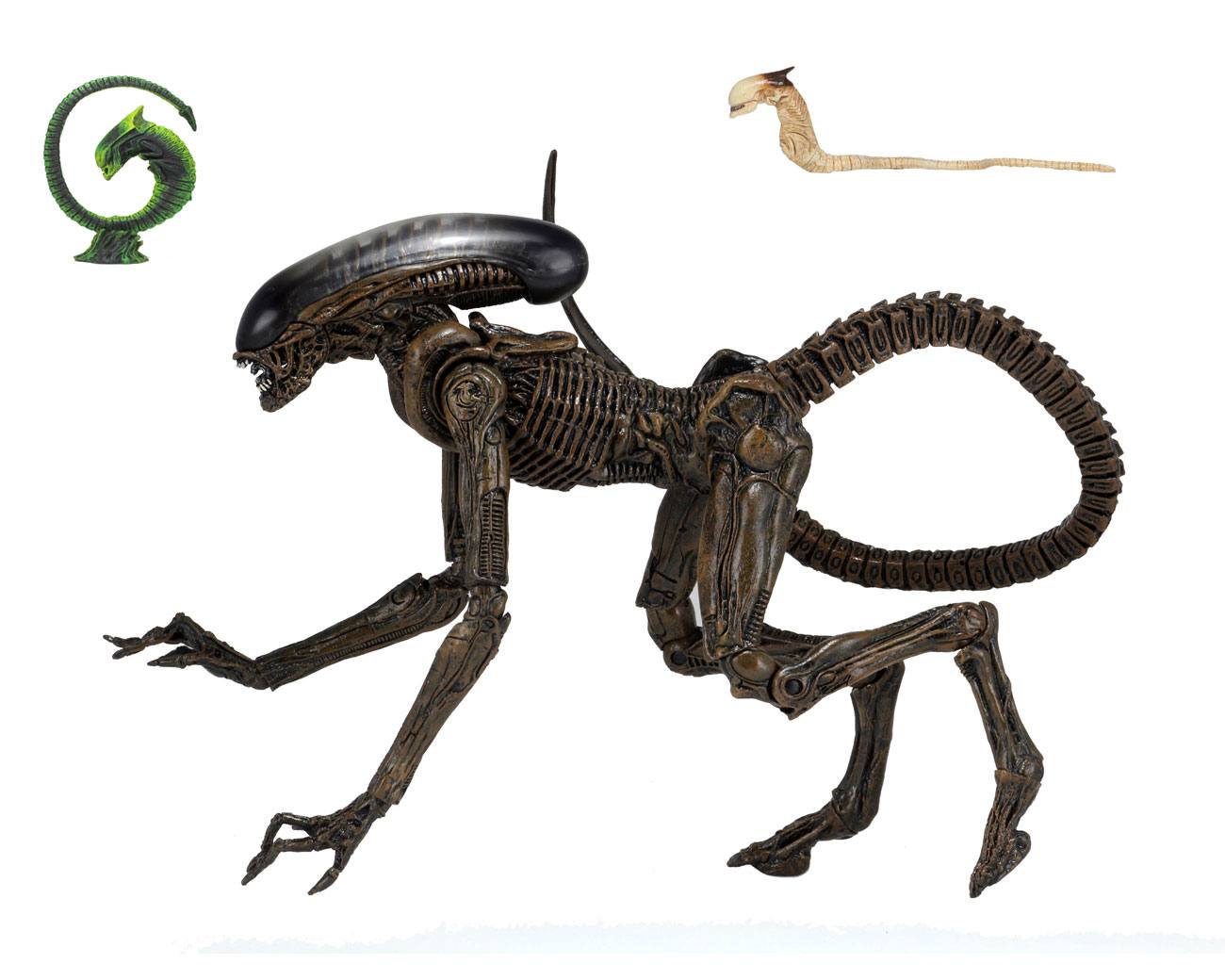 Alien 3 - Dog Alien Ultimate Action Figure 18 cm (51597) | Minotaur.cz